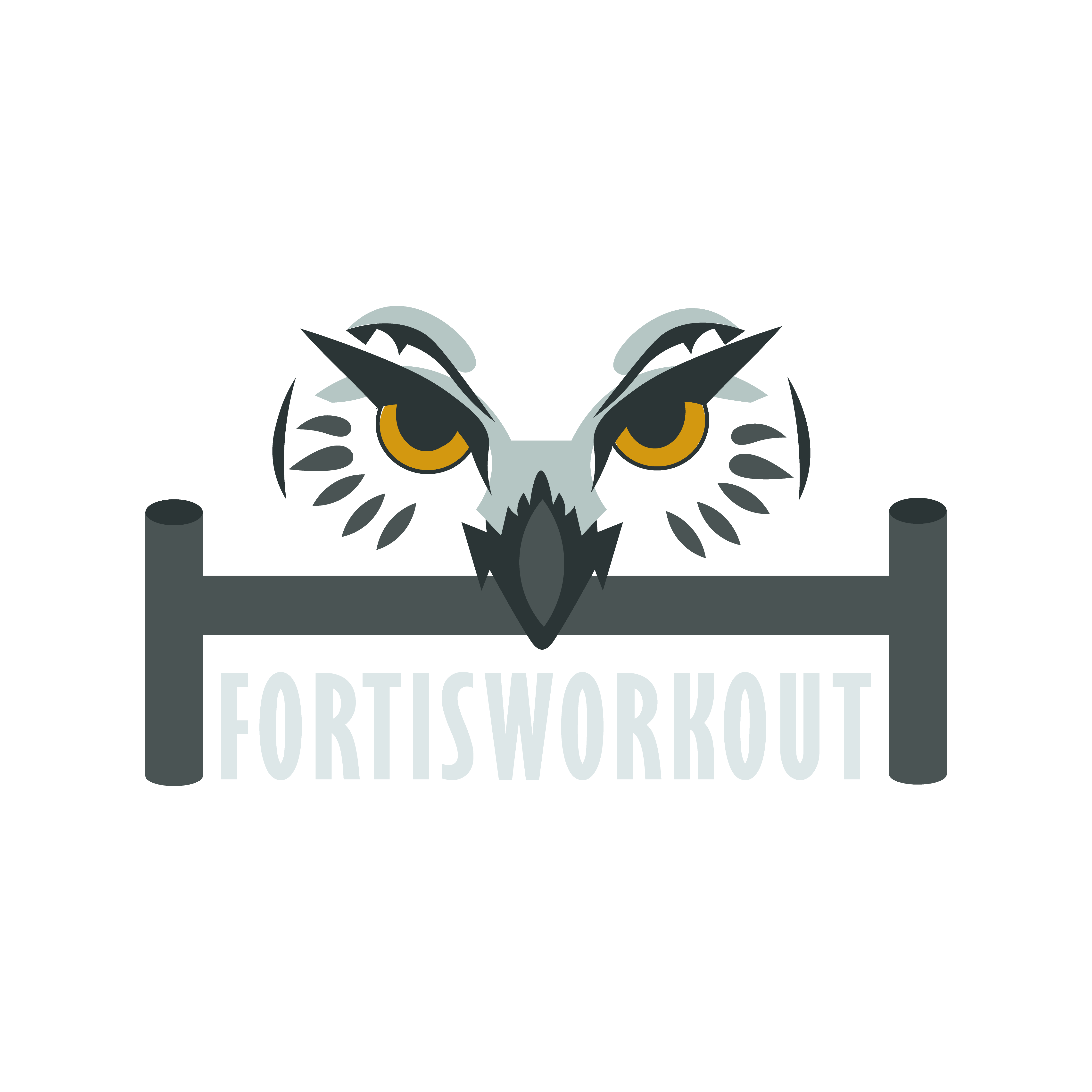 Fortis Workout - Calistenia Maracaibo